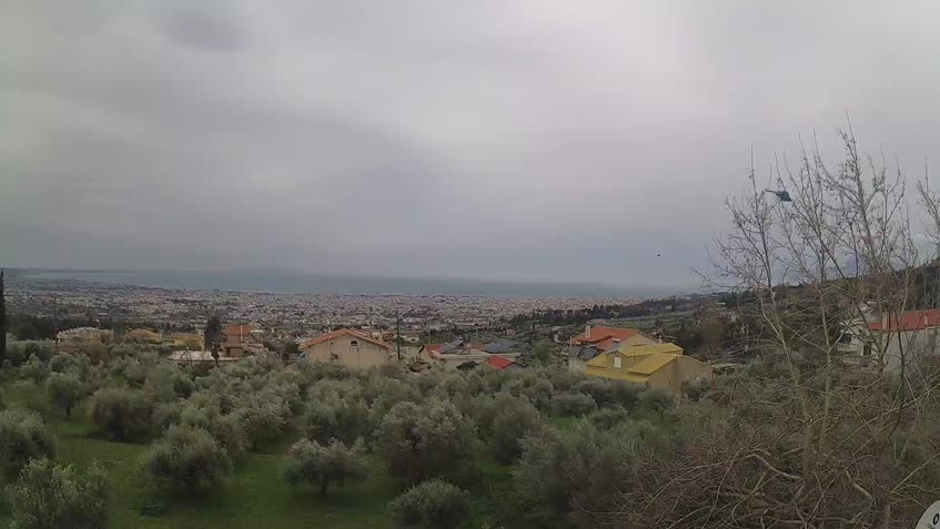 【LIVE Camera】 Ρωμανός - Αχαΐας - Πάτρα | SkylineWebcams