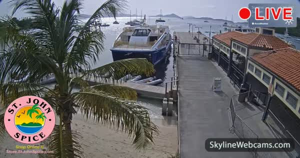 【LIVE】 Live Cam Cruz Bay - Ferry Dock | SkylineWebcams