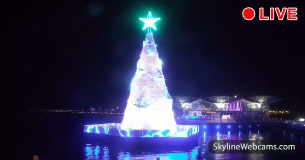【LIVE】 Live Cam Geelong - Floating Christmas Tree | SkylineWebcams