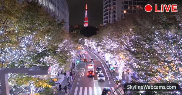 【LIVE】 Webcam Tokio - Weihnachtsbeleuchtung | SkylineWebcams