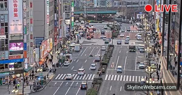 【LIVE】 Webcam Tokio - Kabukicho-Kreuzung | SkylineWebcams