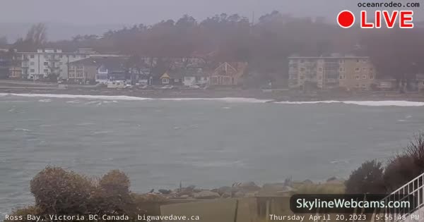 【LIVE】 Live Cam Ross Bay - Victoria | SkylineWebcams