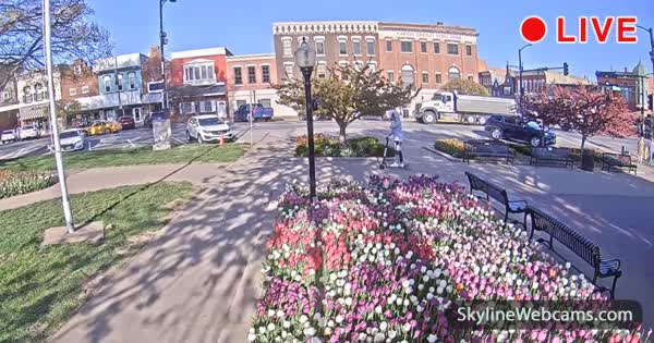【LIVE】 Live Cam Pella - Iowa | SkylineWebcams