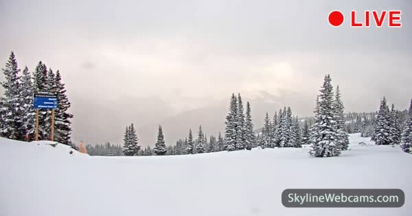 【LIVE】 Webcam Winter Park - Lunch Rock | SkylineWebcams