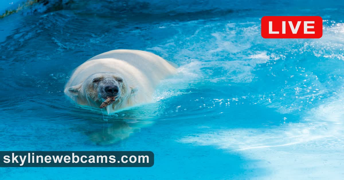Live Cam Zoosafari Fasano - World of the animals | SkylineWebcams
