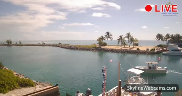 【LIVE】 Live Cam West Bay - Bahamas | SkylineWebcams
