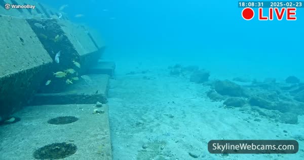 【LIVE】 Webcam en direct Caméra sous-marine - Pompano Beach | SkylineWebcams