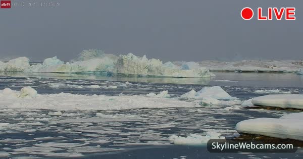 【LIVE】 Live Cam Icebergs of Ilulissat - Greenland | SkylineWebcams