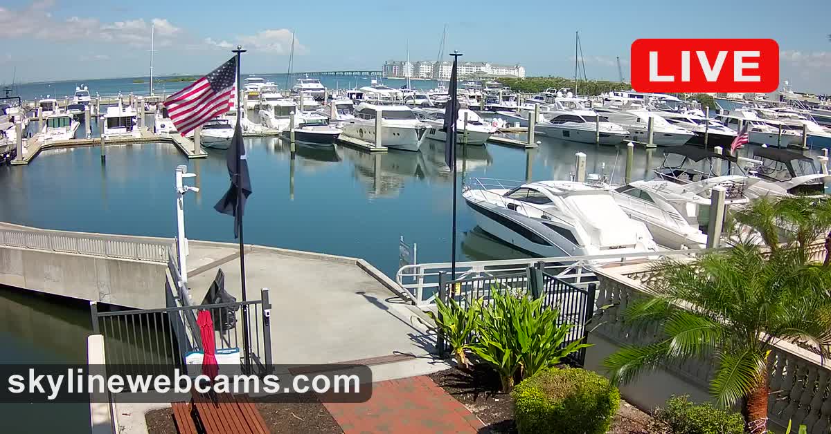 Live Cam Westshore Yacht Club Marina - Tampa | SkylineWebcams