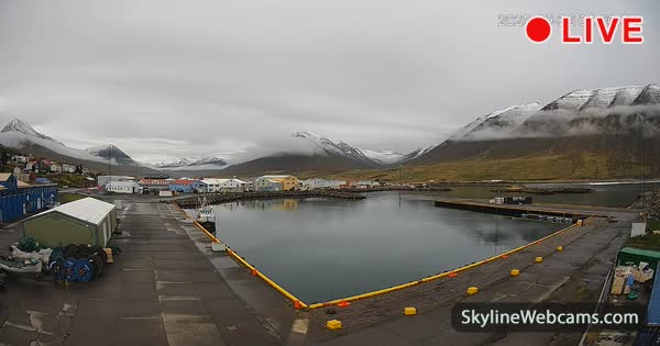 【LIVE】 Live Cam Port of Fjallabyggð - Iceland | SkylineWebcams