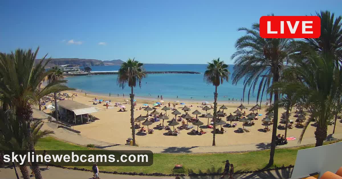 Kamera v živo Arona - Park Santiago | SkylineWebcams