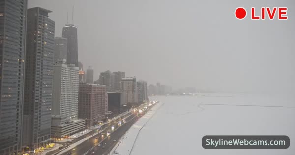 【LIVE】 Webcam Chicago - Frontlake Trail | SkylineWebcams