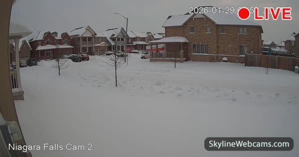 【LIVE】 Live Cam Niagara Falls - Ontario | SkylineWebcams