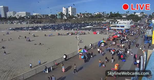 【LIVE】 Cámara web en directo Santa Mónica - Pacific Park | SkylineWebcams