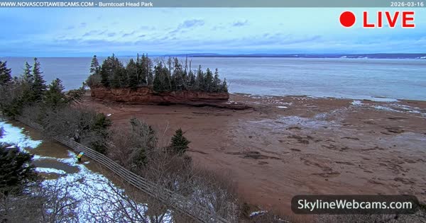 【LIVE】 Live Cam Burntcoat - Nova Scotia | SkylineWebcams